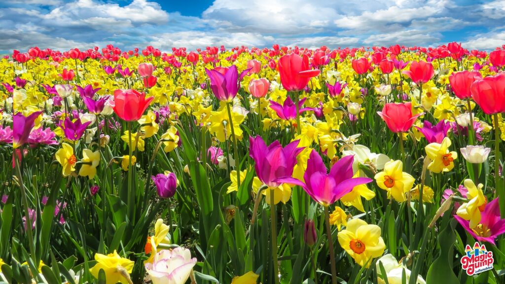 Spring into Success with Magic Jump Bounce Houses -Magic Jump Blog